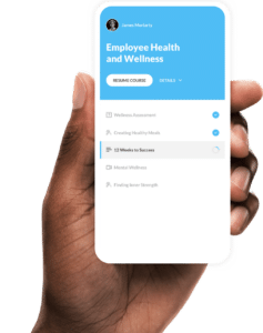 Rise 360 All Features | Articulate