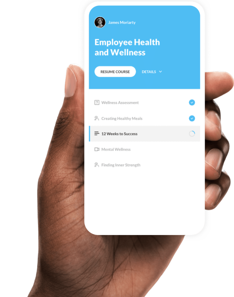 Rise 360 All Features | Articulate