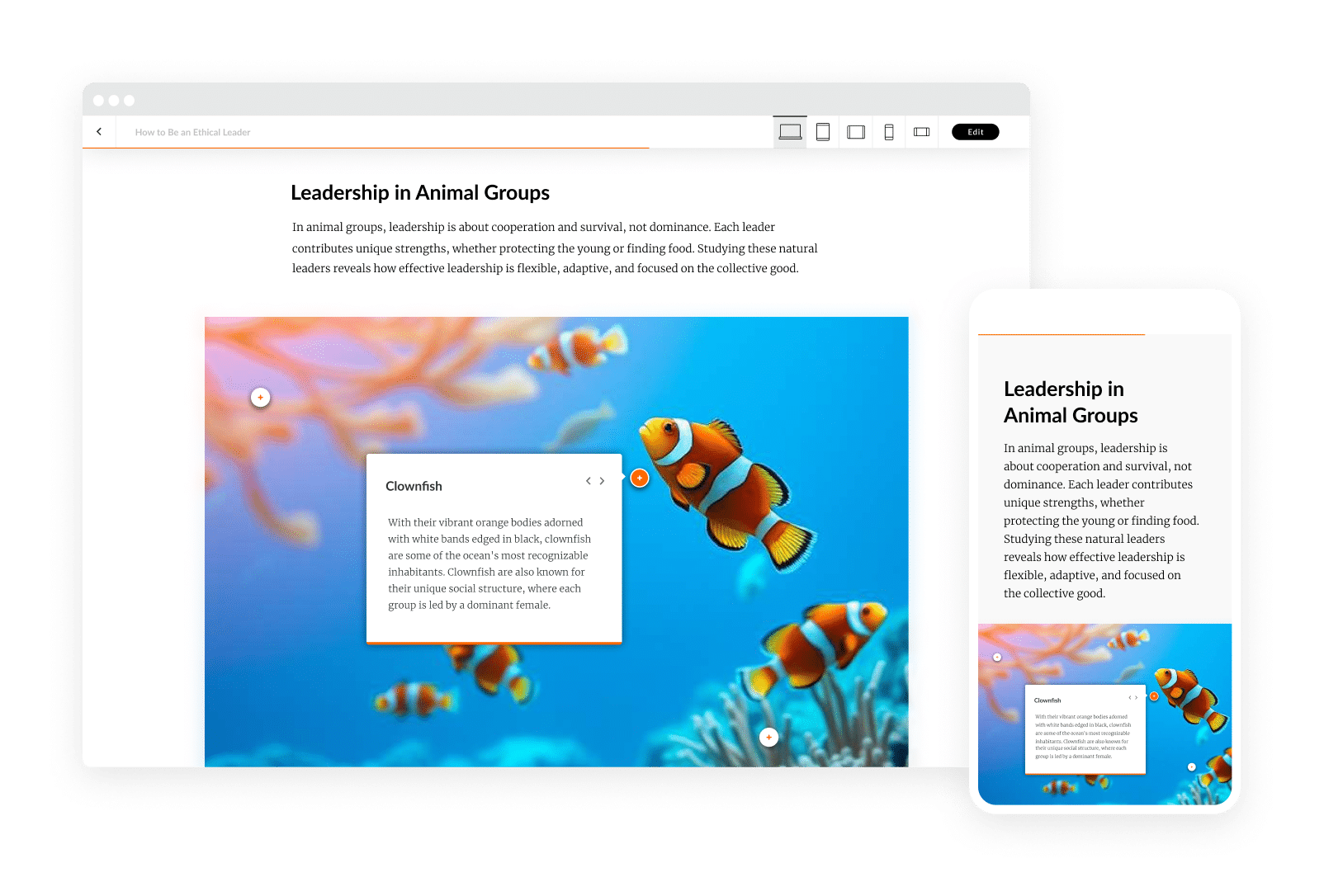 Award-winning online course creation platform | Articulate